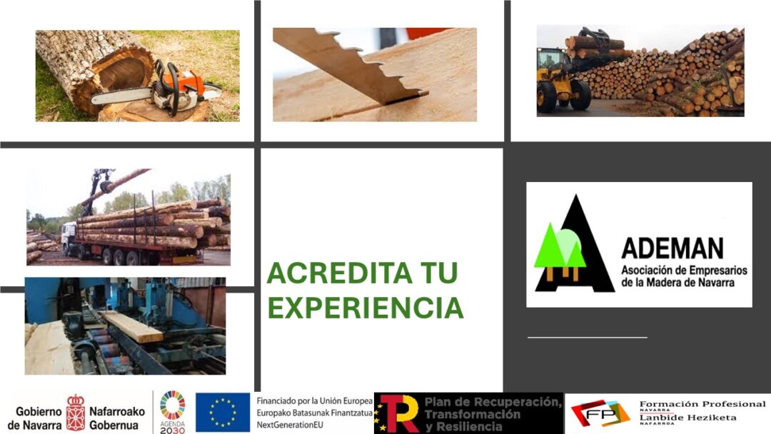 Acreditaciones de experiencia profesional - Ademan